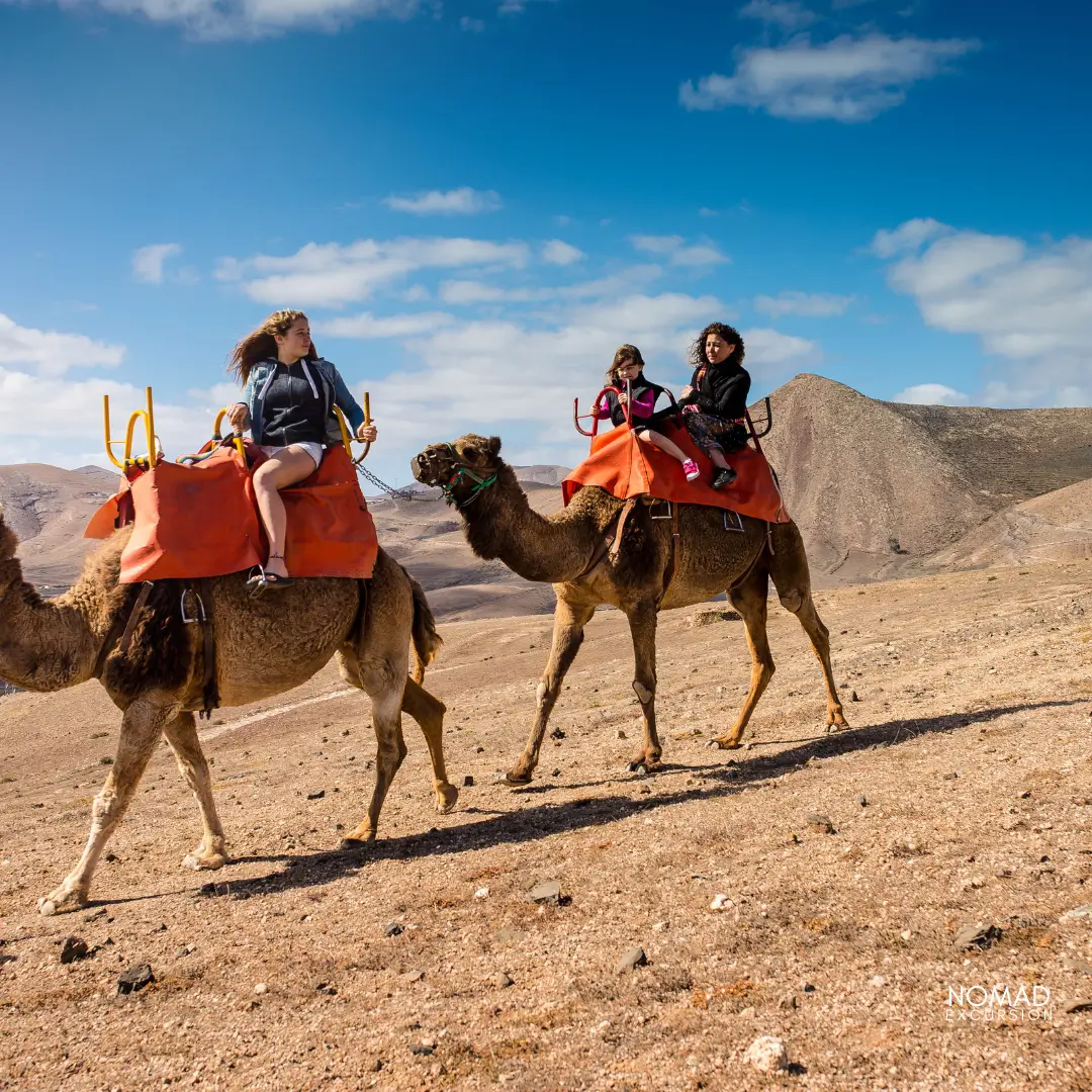 Family-Friendly Camel Rides in Marrakech: The Ultimate Guide for ...